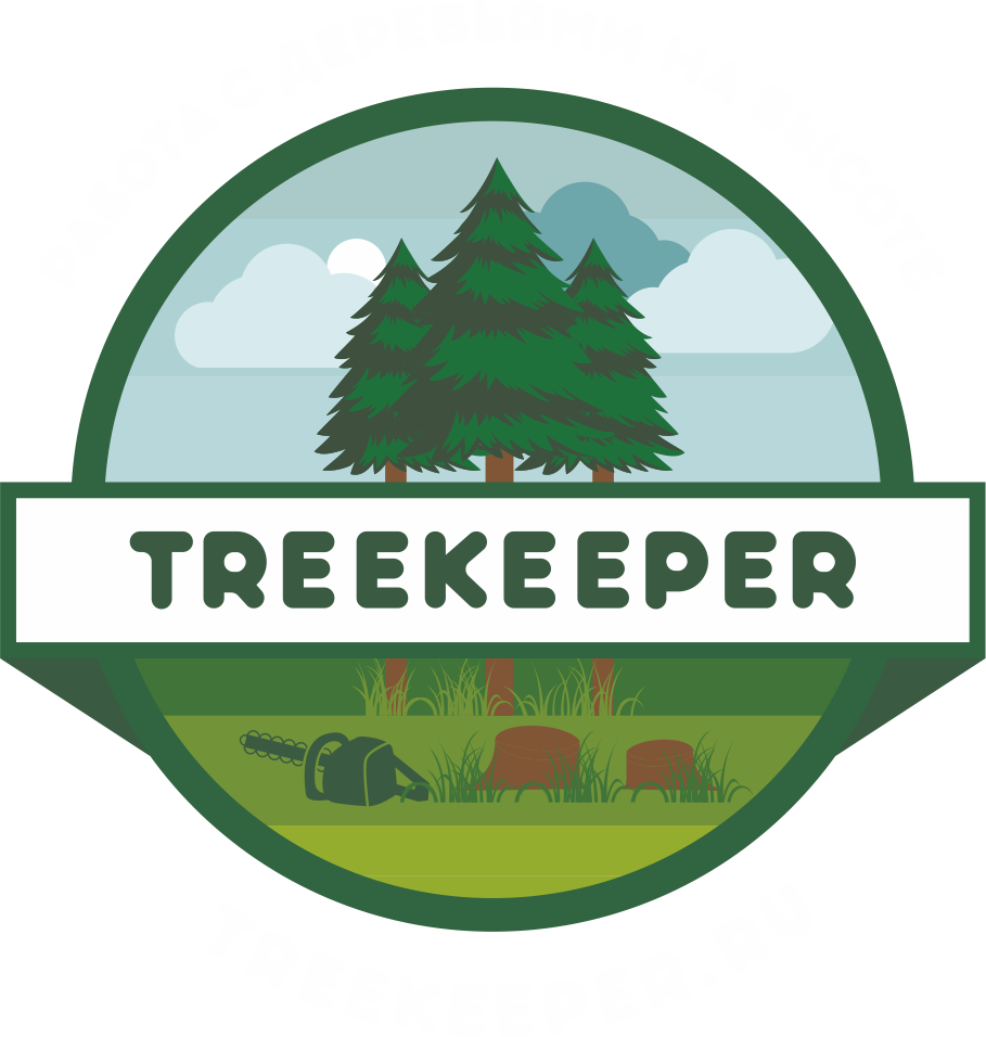 Укрепление деревьев, каблинг и брейсинг в Москве - TreeKeeper